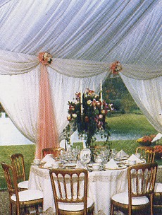 Tulle Fabric Gallery | Decorating with Tulle | DIY Tulle Wedding Decor