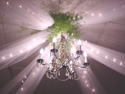 Tulle Fabric Gallery | Decorating with Tulle | DIY Tulle Wedding Decor
