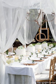 Tulle Fabric Gallery | Decorating with Tulle | DIY Tulle Wedding Decor